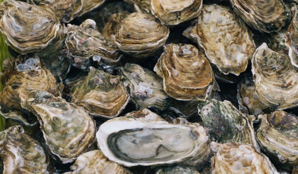 Aburasokomutsu - Escolar (Walu Walu) - Sustainable Sushi